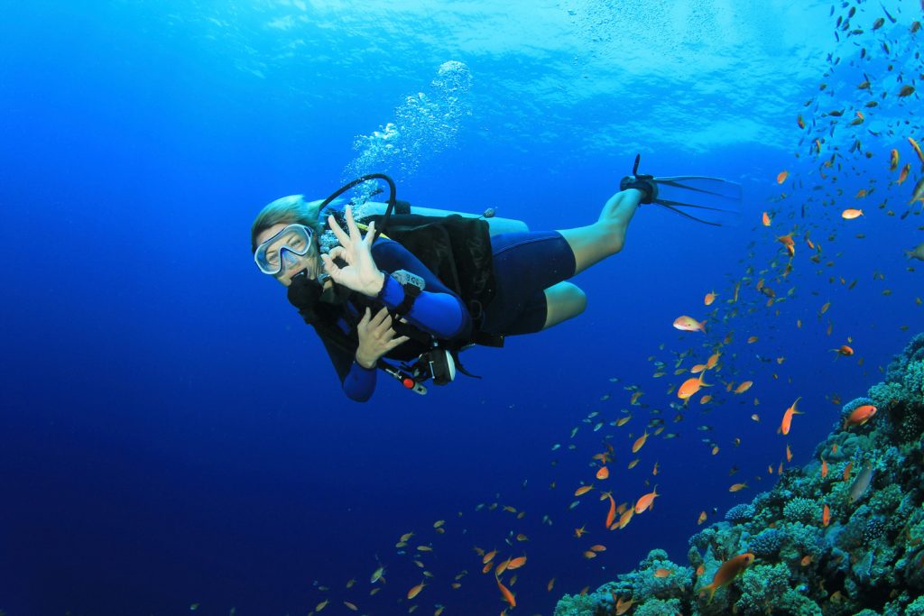 Scuba Diving in Dubai - ScubaDive.ae